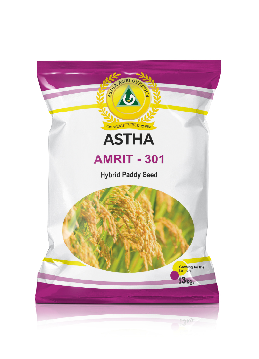 Paddy: Astha Amrit - 301 - Astha Agri Genetics
